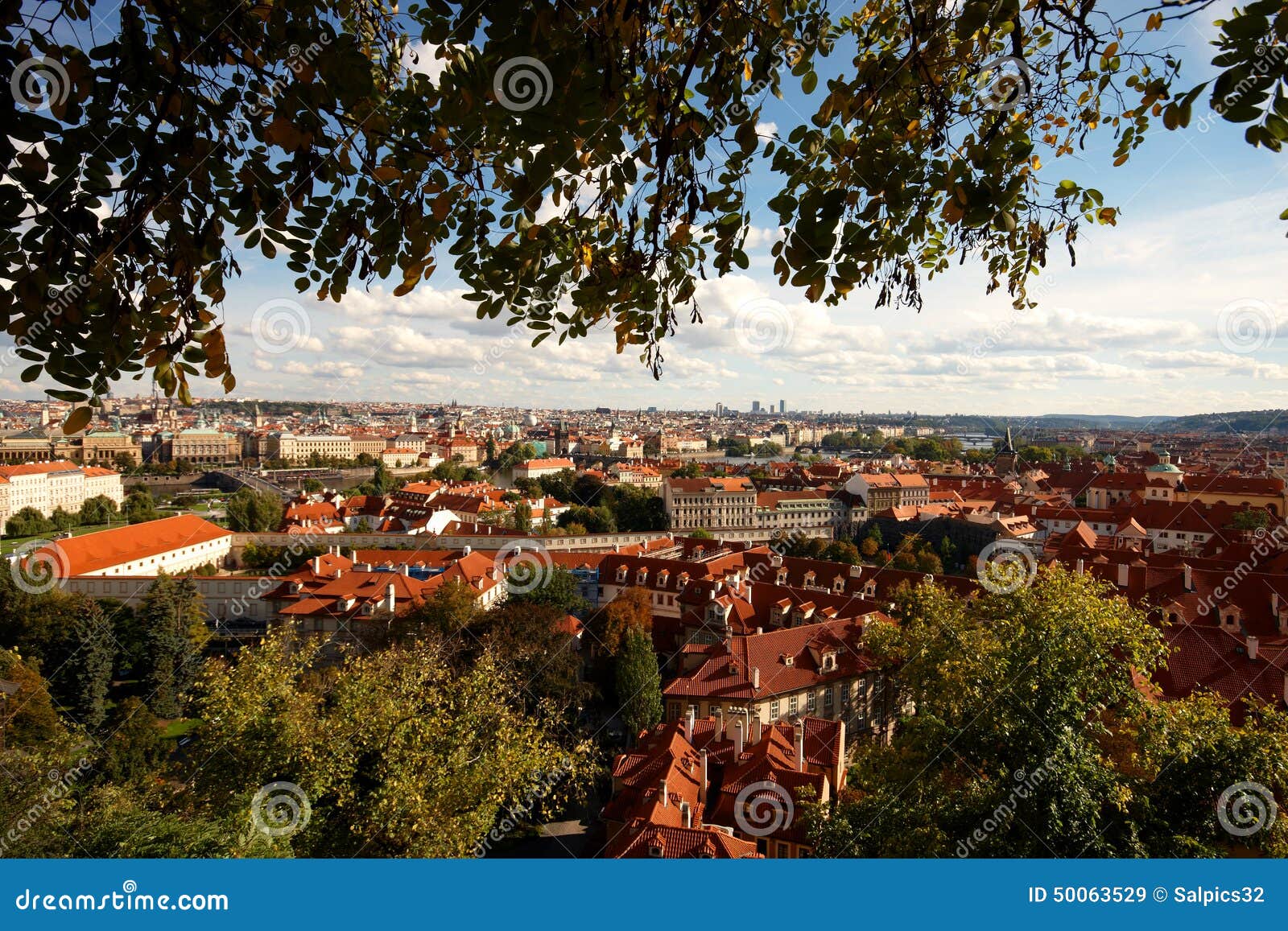 Looking over the rooftops stock image. Image of trees - 50063529