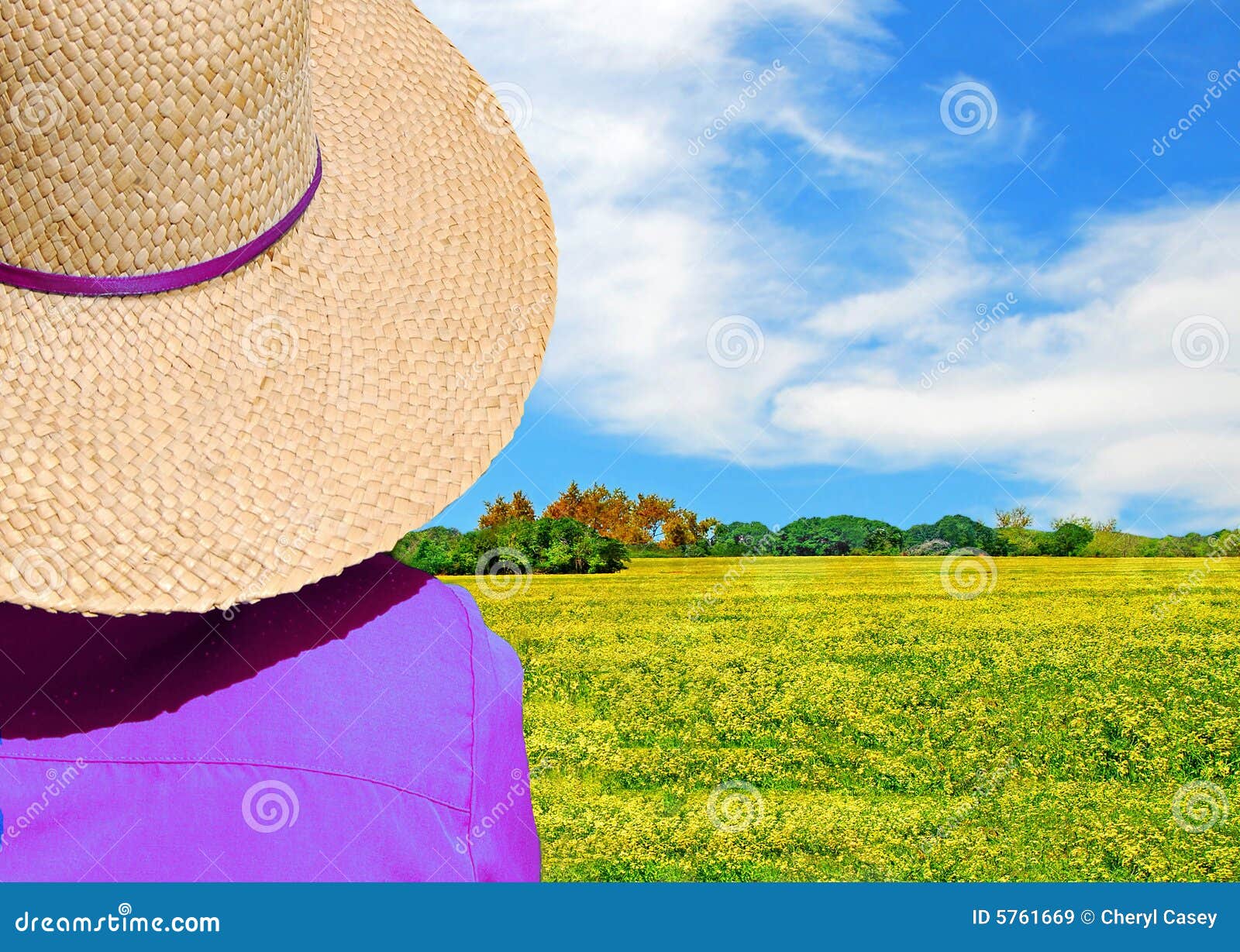 Looking at pretty field stock image. Image of agriculture - 5761669