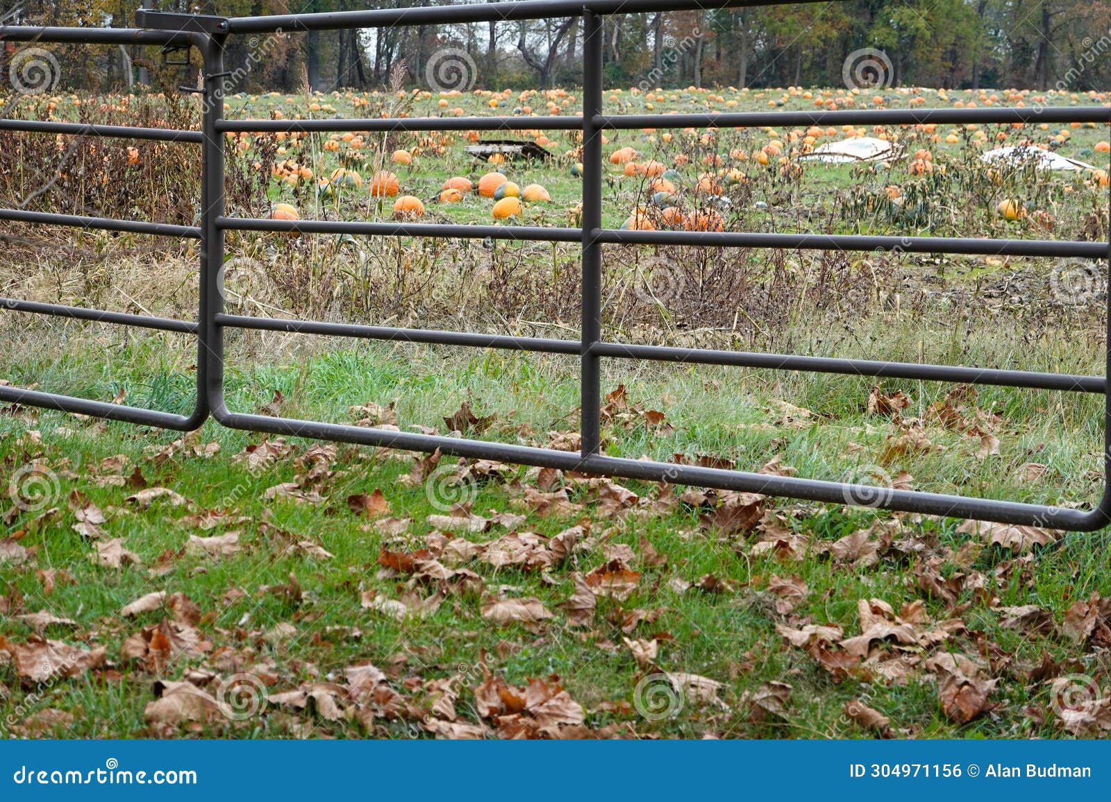 Old Gas Pipe Gate On The Background Of The House Stock Photography ...