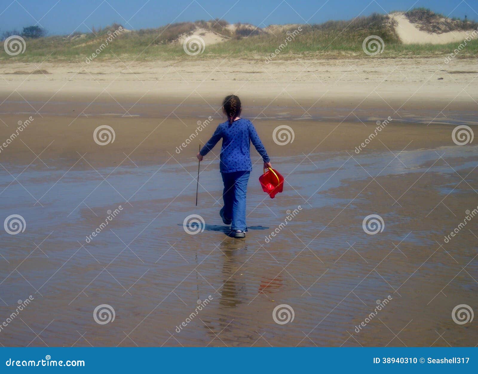 Looking for seashells stock photo. Image of summer, coast - 38940310
