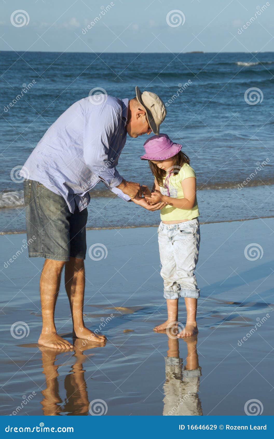 Looking for shells stock image. Image of beach, shells - 16646629