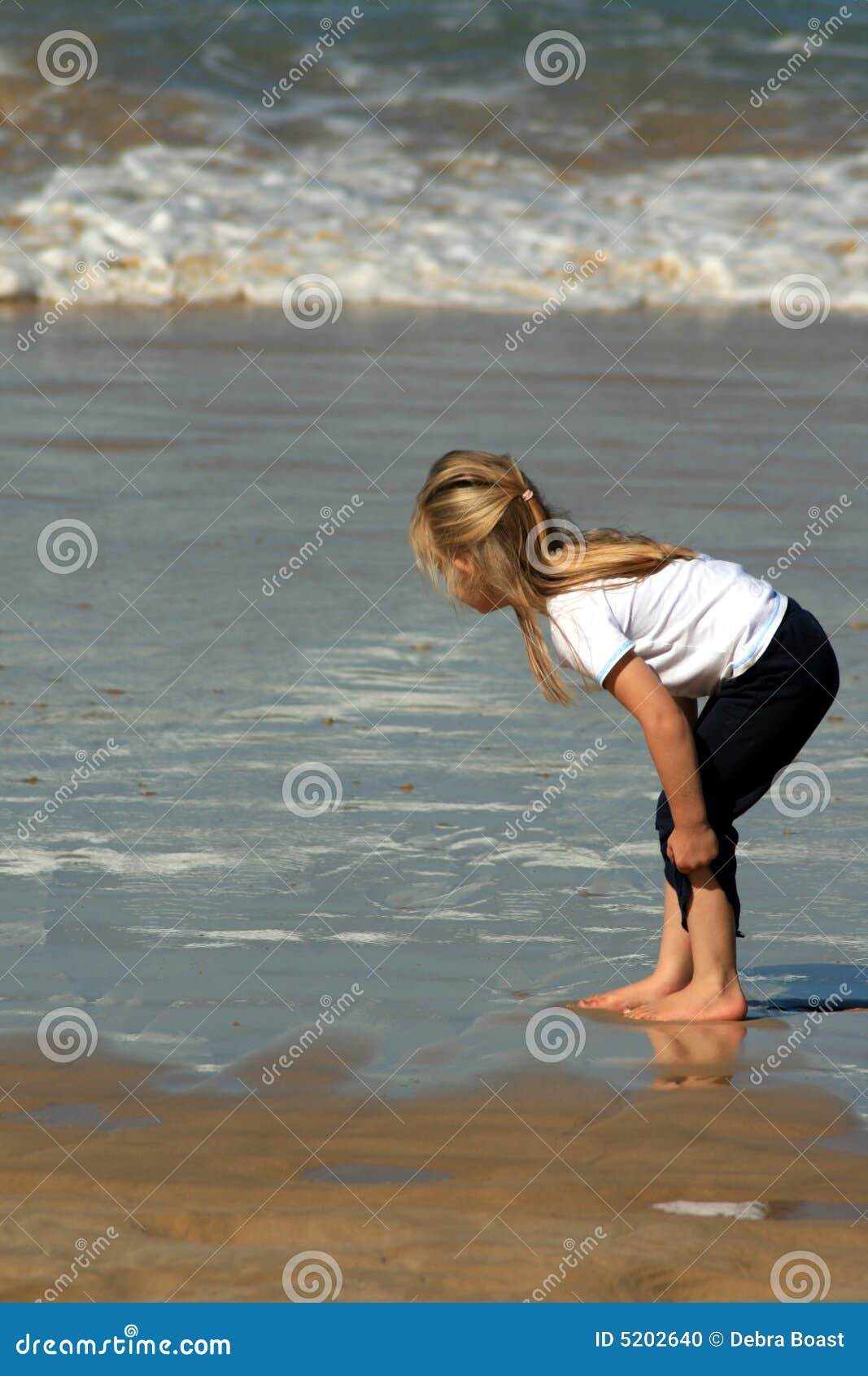 Looking for shells stock photo. Image of coastal, walk - 5202640
