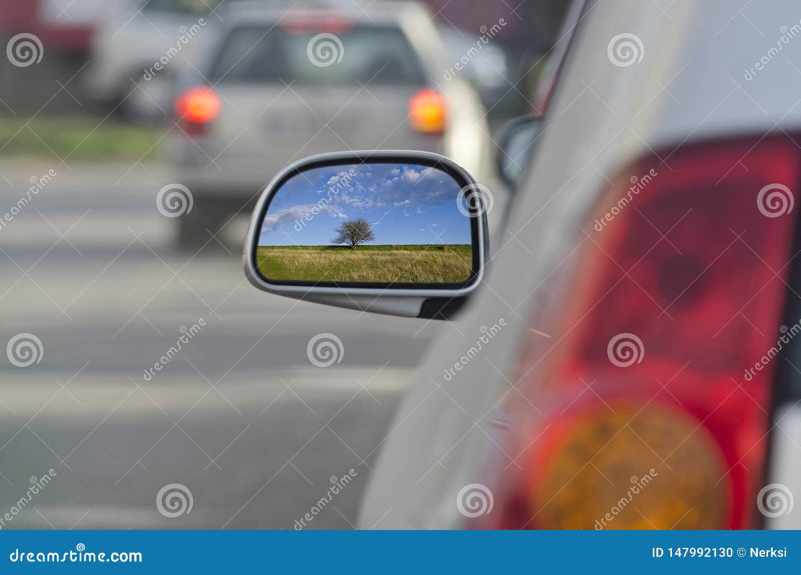Looking in the Side Rear-view Mirror Stock Photo - Image of natural ...