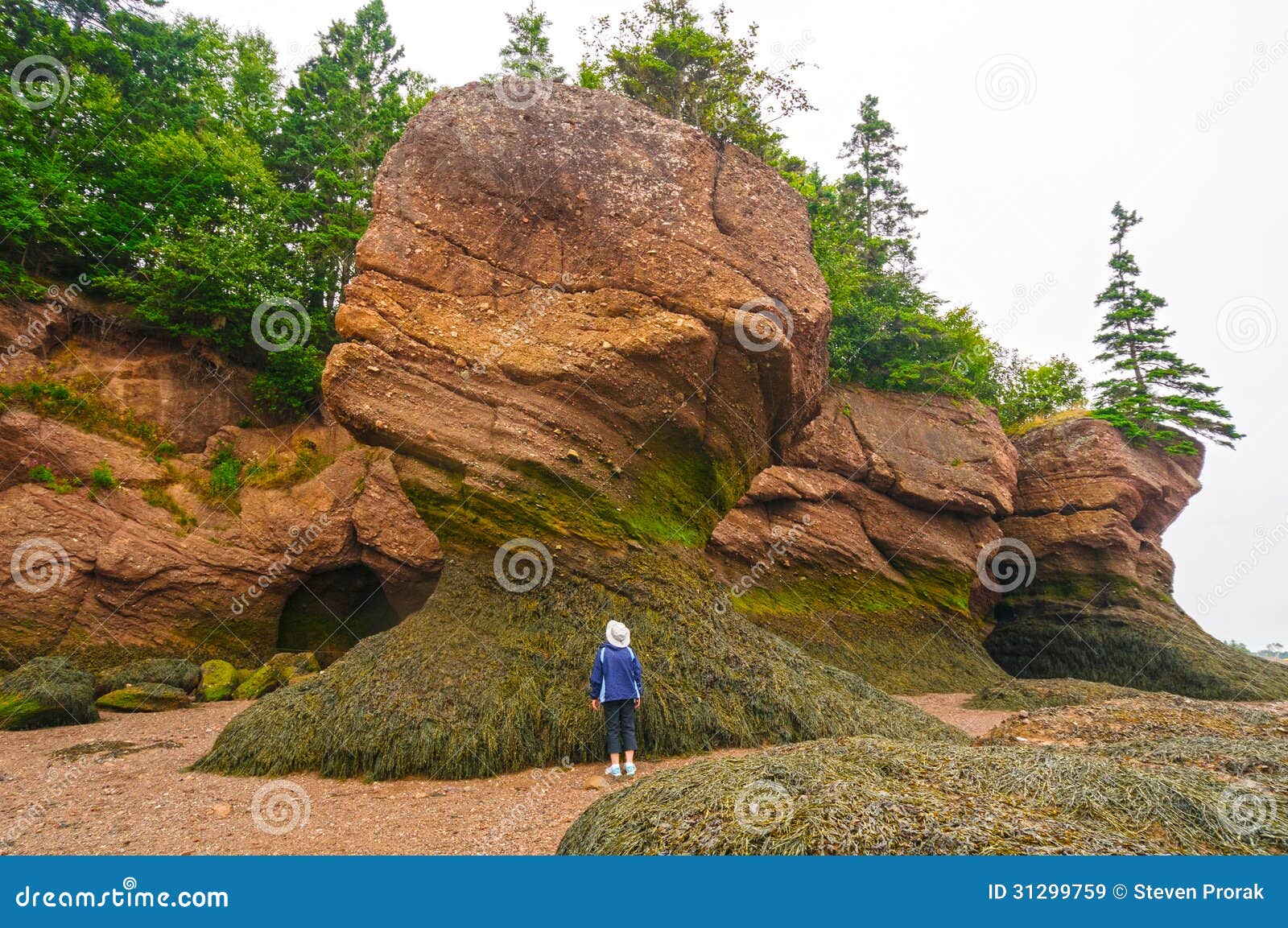 Looking at a Tidal Rocks at Low Tide Stock Image - Image of scenic ...
