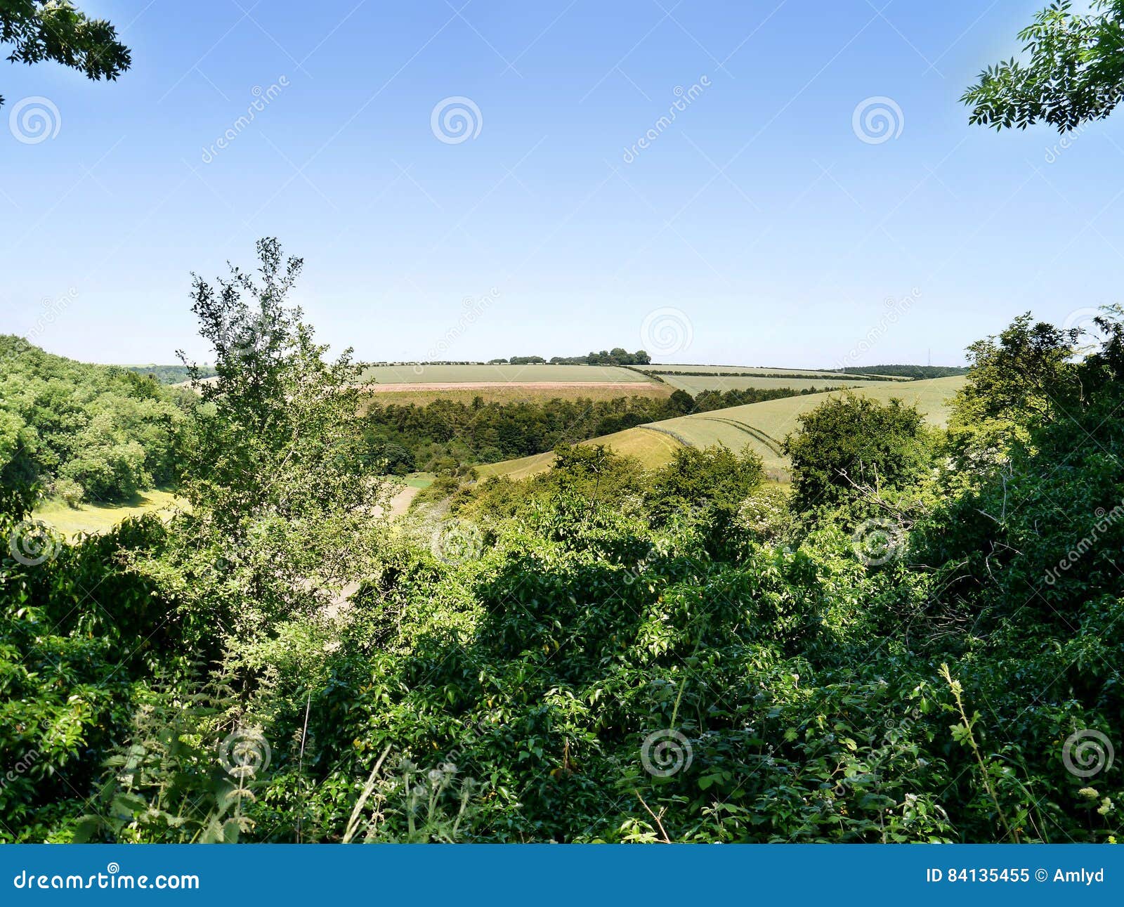 Looking To Fields Over Trees Stock Image - Image of national, hill ...