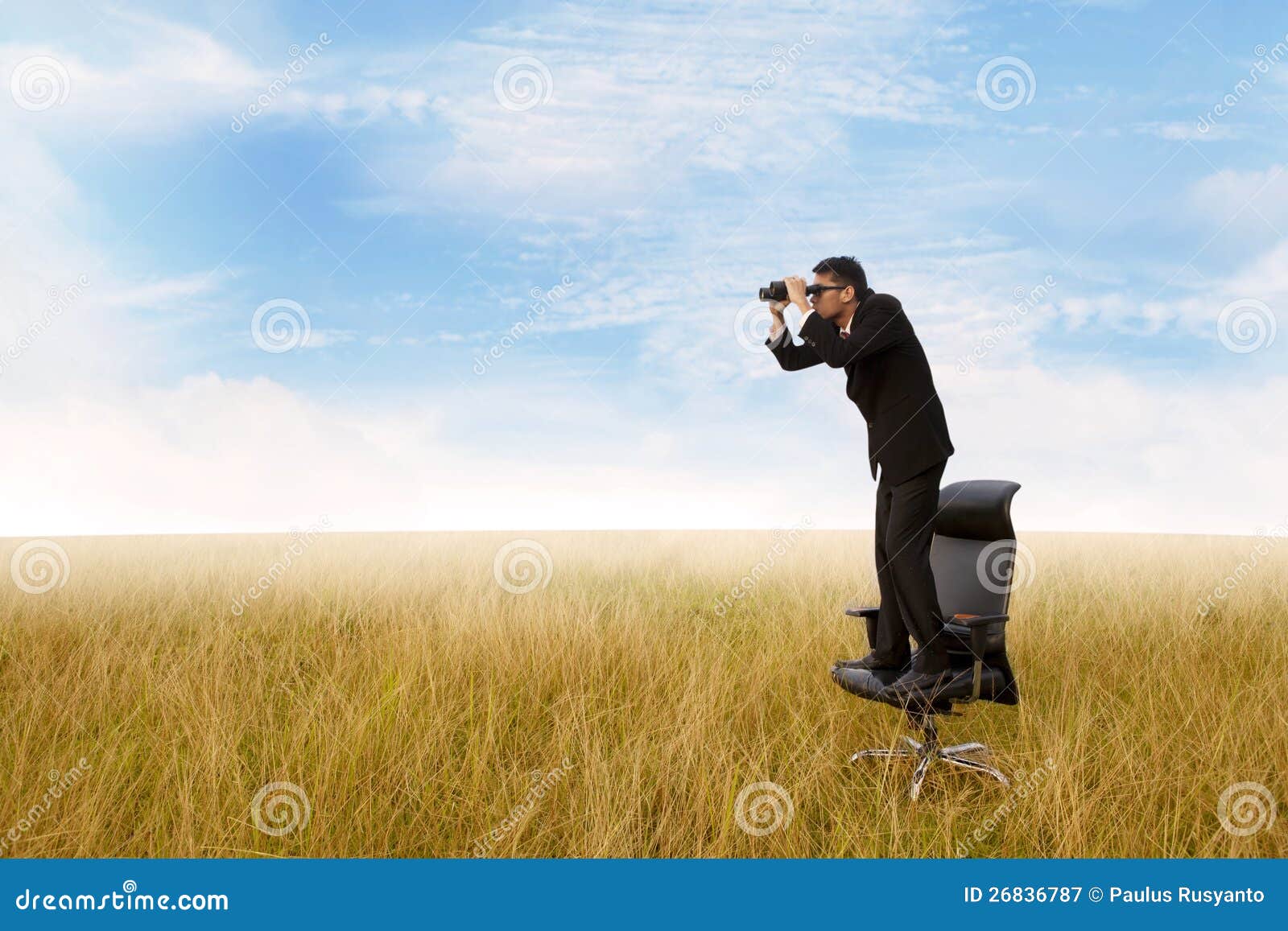Looking to the future 1 stock image. Image of field, harvest - 26836787