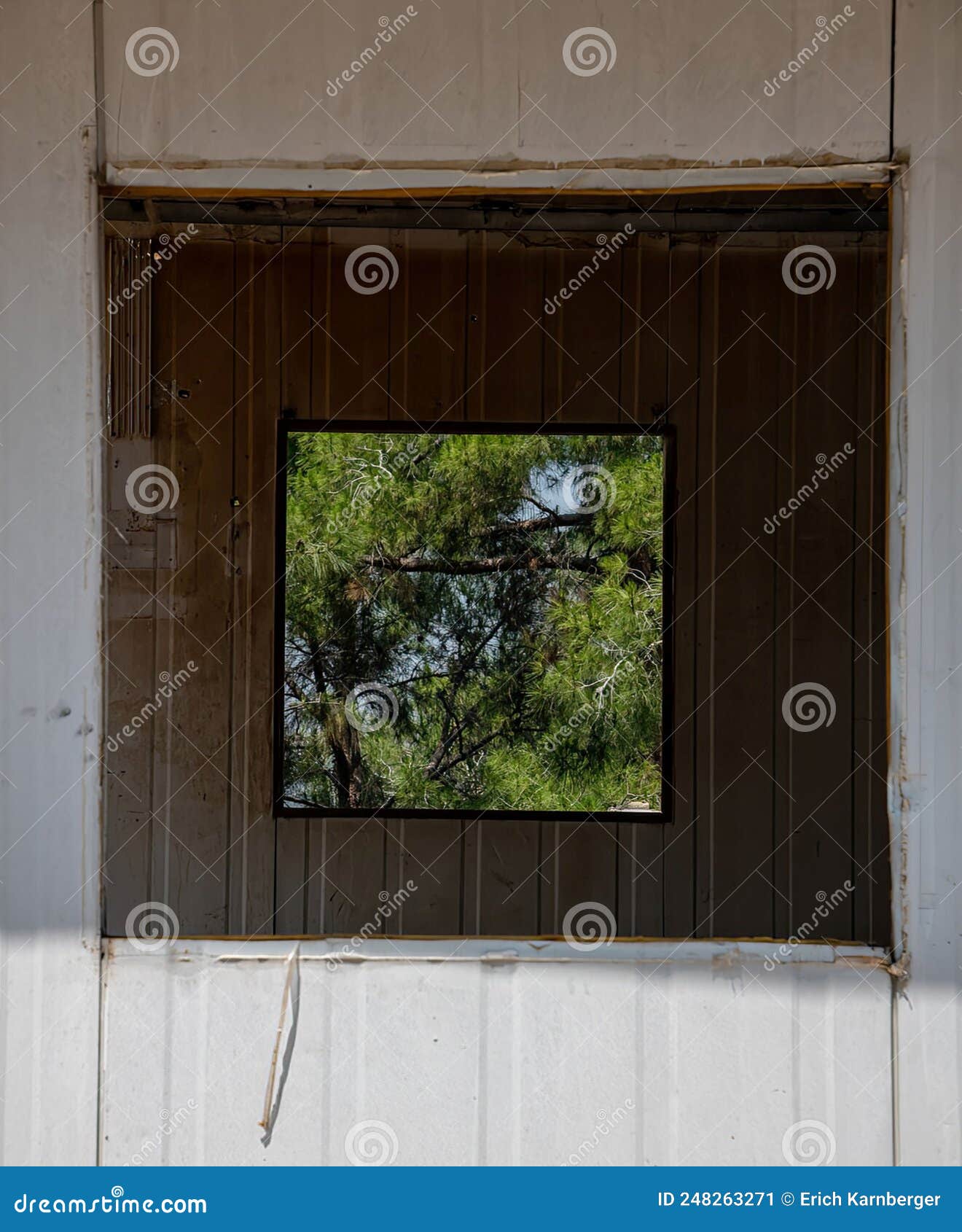 Empty metal window frames stock image. Image of forest - 248263271