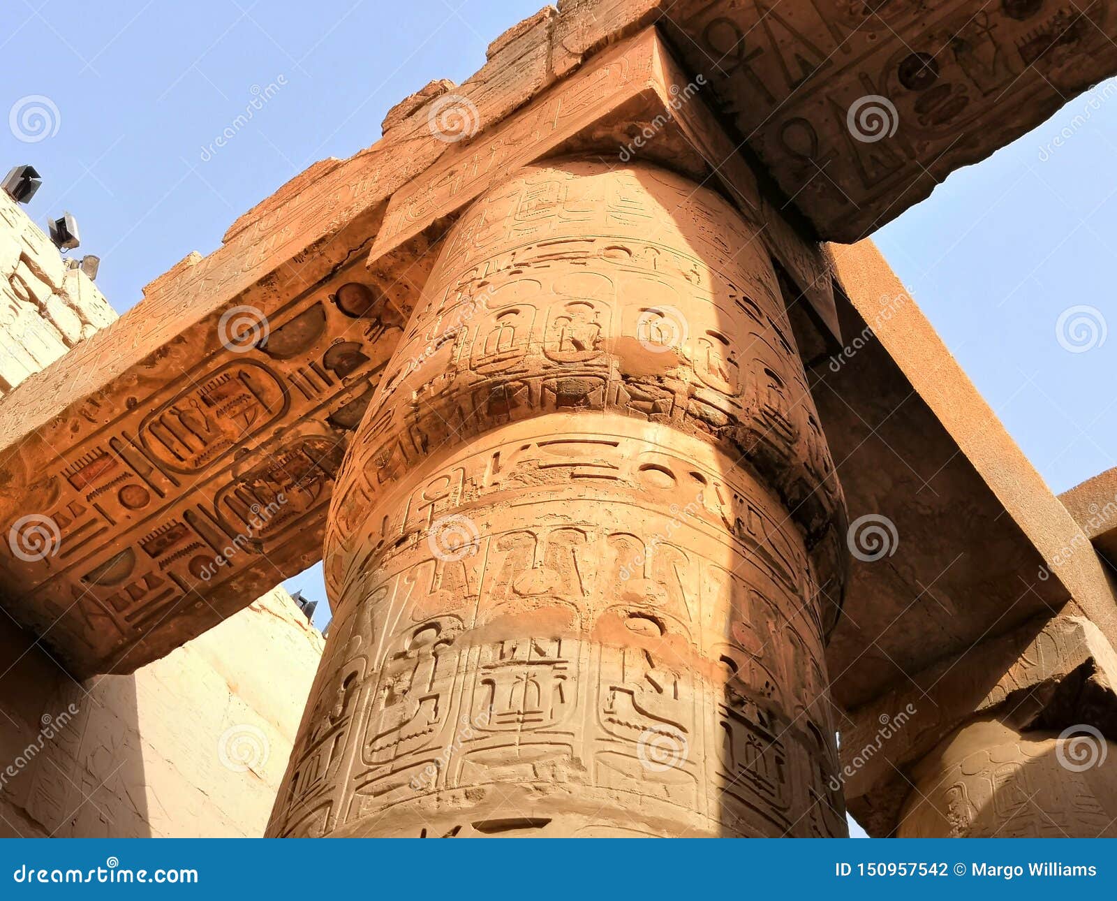 Looking up in awe stock photo. Image of detail, looking - 150957542