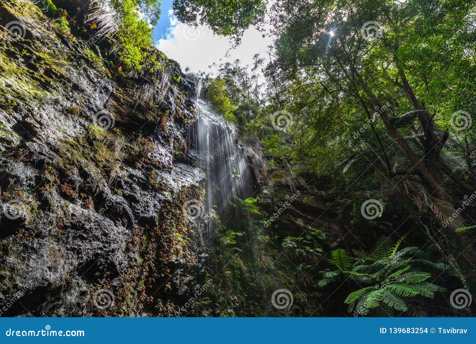 Waterfall Falling from Rocks in the Jungle. Stock Photo - Image of ...
