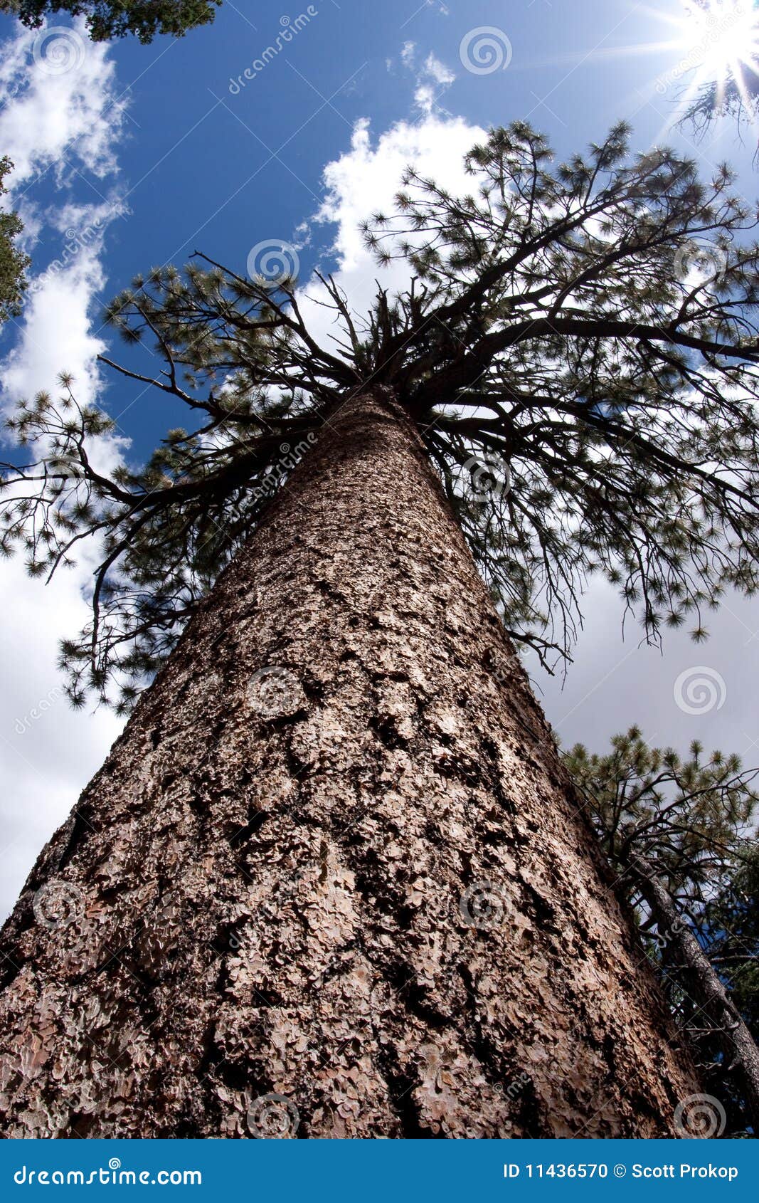 [Graphical Projection] Calculate upward foreshortening : r/learnmath