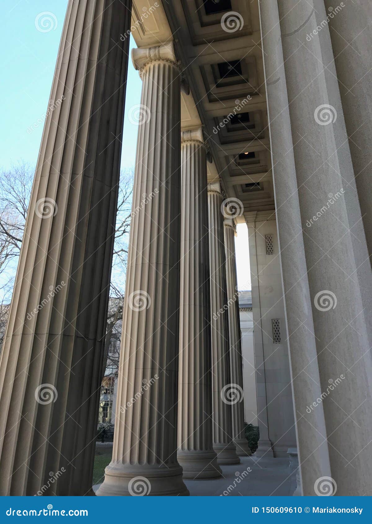 Ionic Columns at MIT stock photo. Image of greek, ionic - 150609610