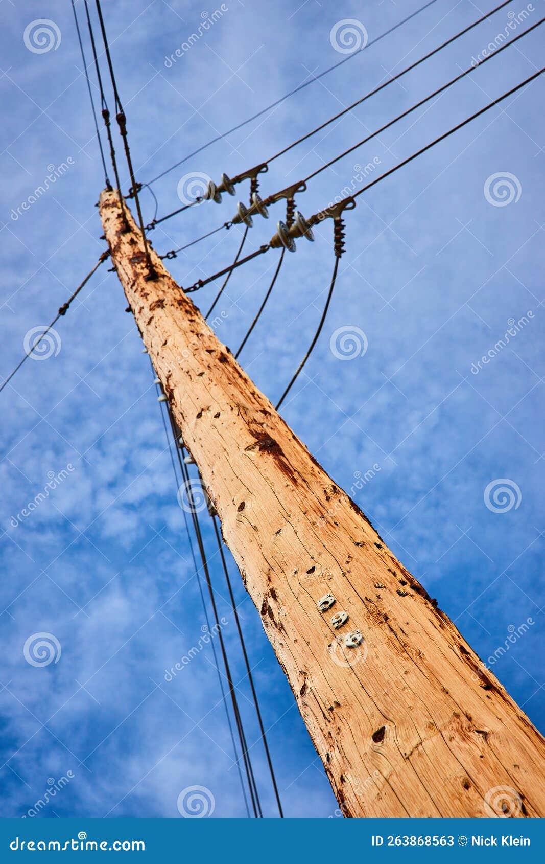 Looking Up at Light Brown Telephone Pole with Blue Sky and Numbers 5 9 ...