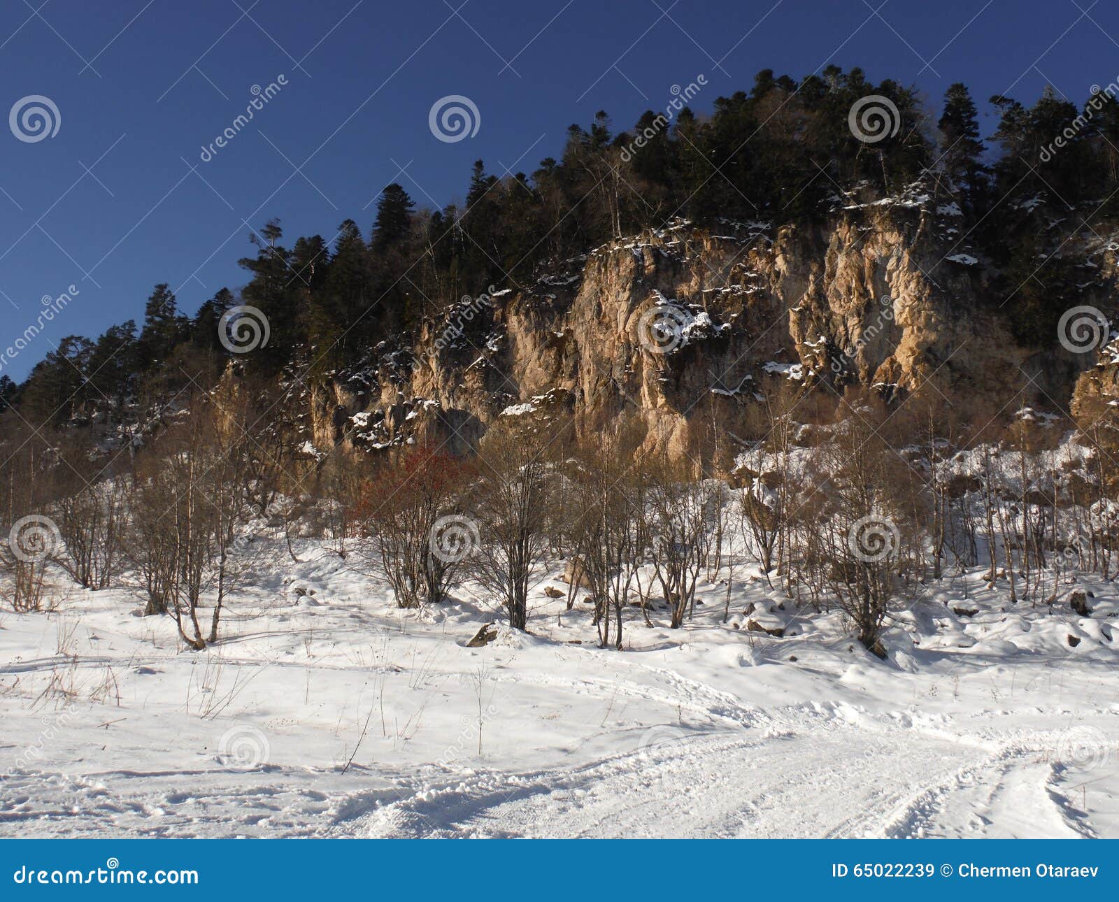 Looking Up at a Mountain in Russian National Park Stock Image - Image ...