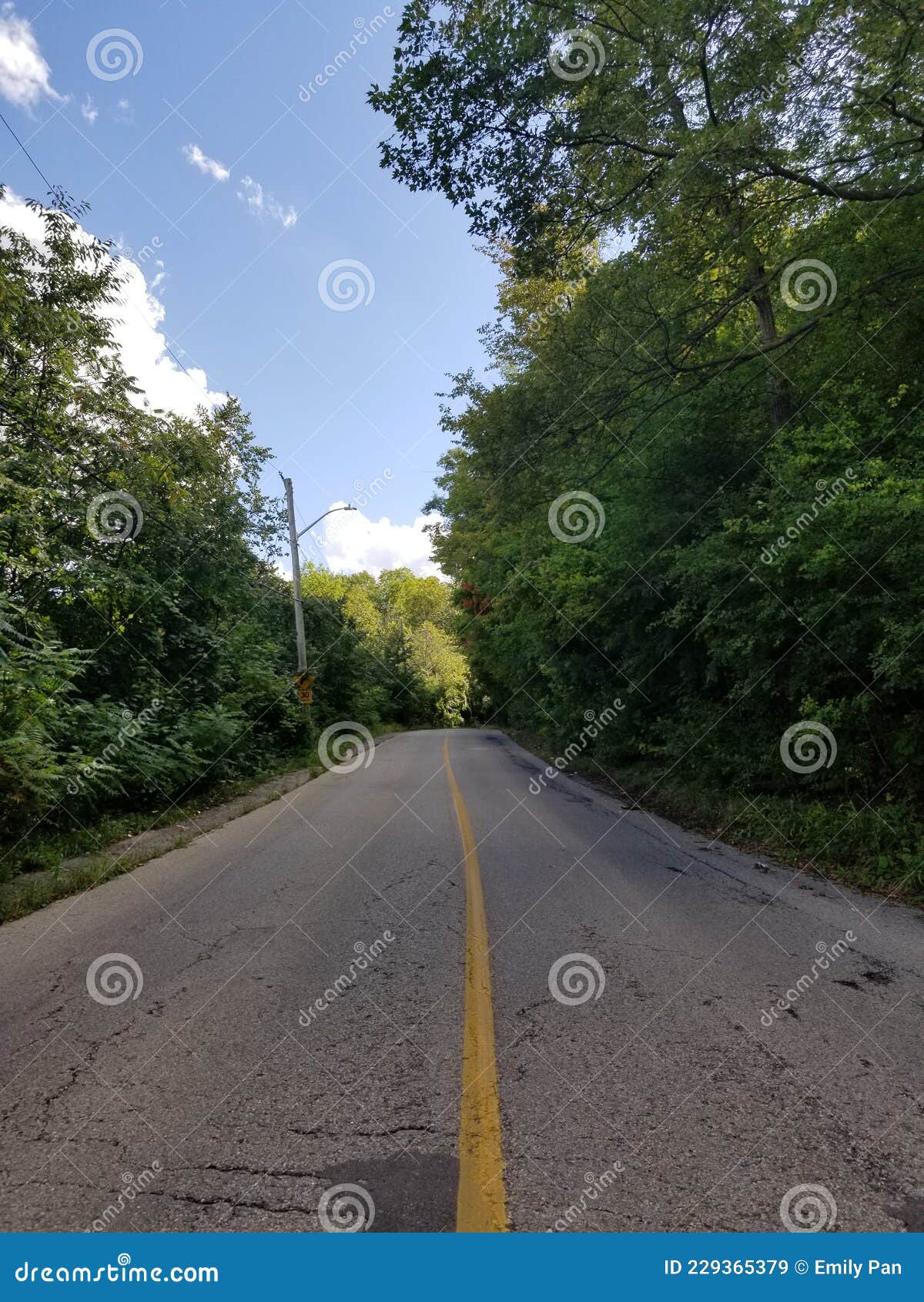 Looking Up the Road stock image. Image of river, soil - 229365379