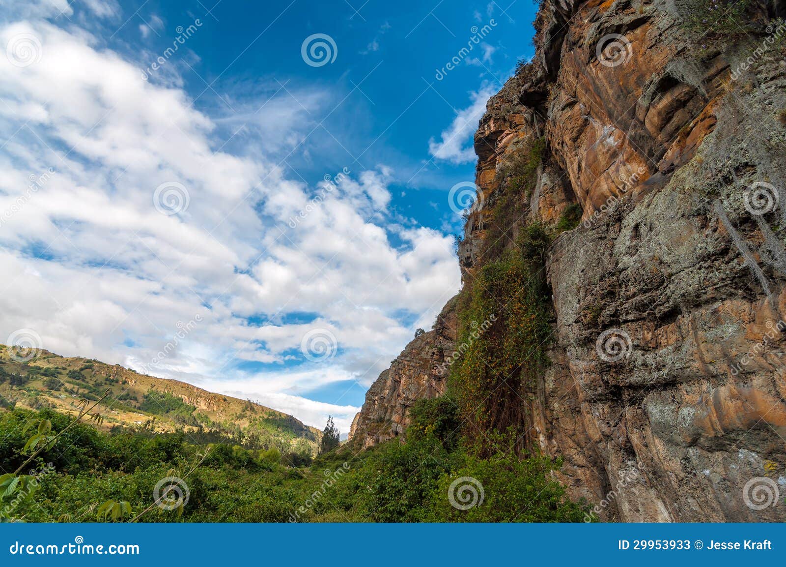 Looking up at a Cliff stock image. Image of climb, green - 29953933