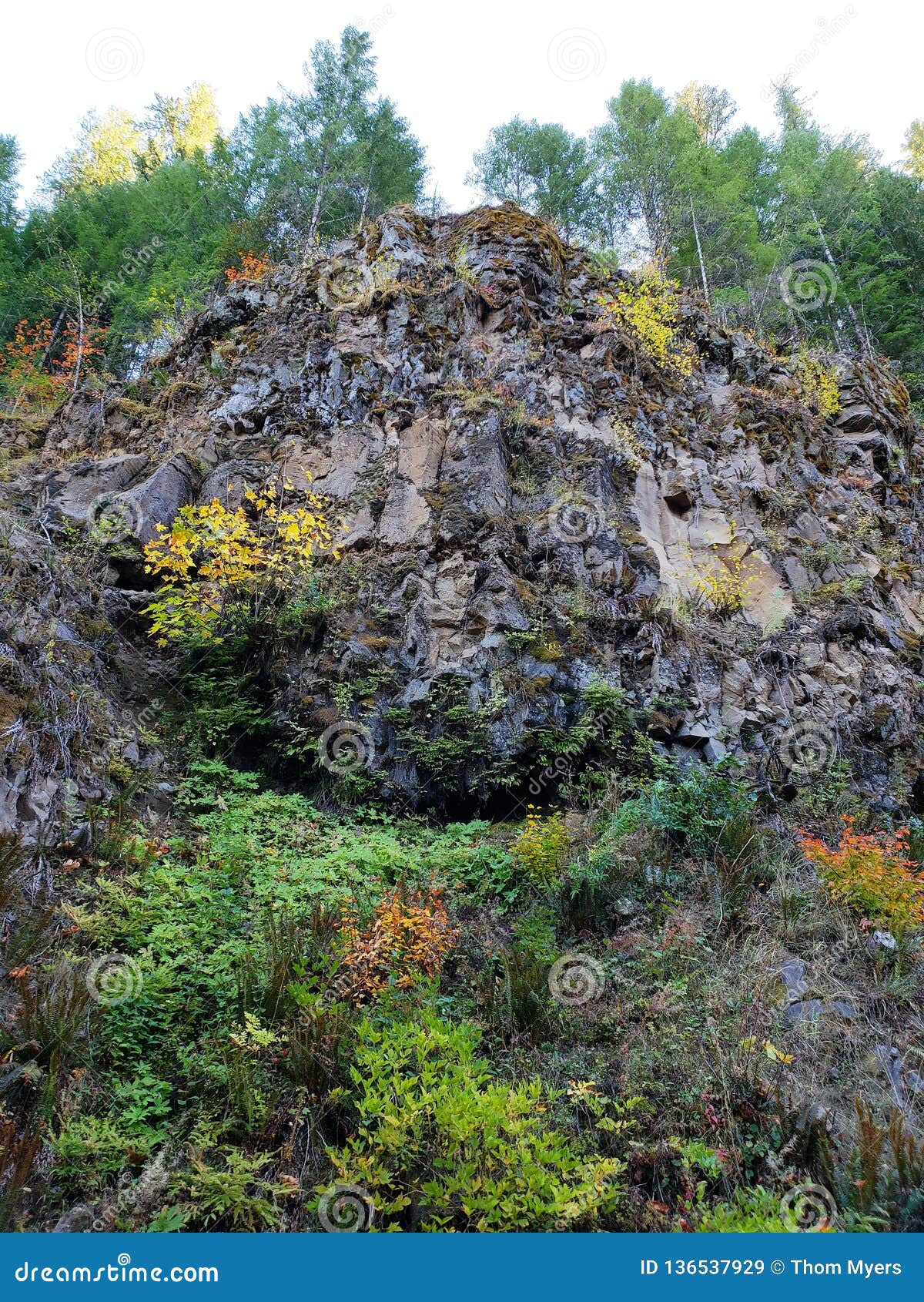 Looking Up the Rugged Cliff Stock Image - Image of linn, environment ...