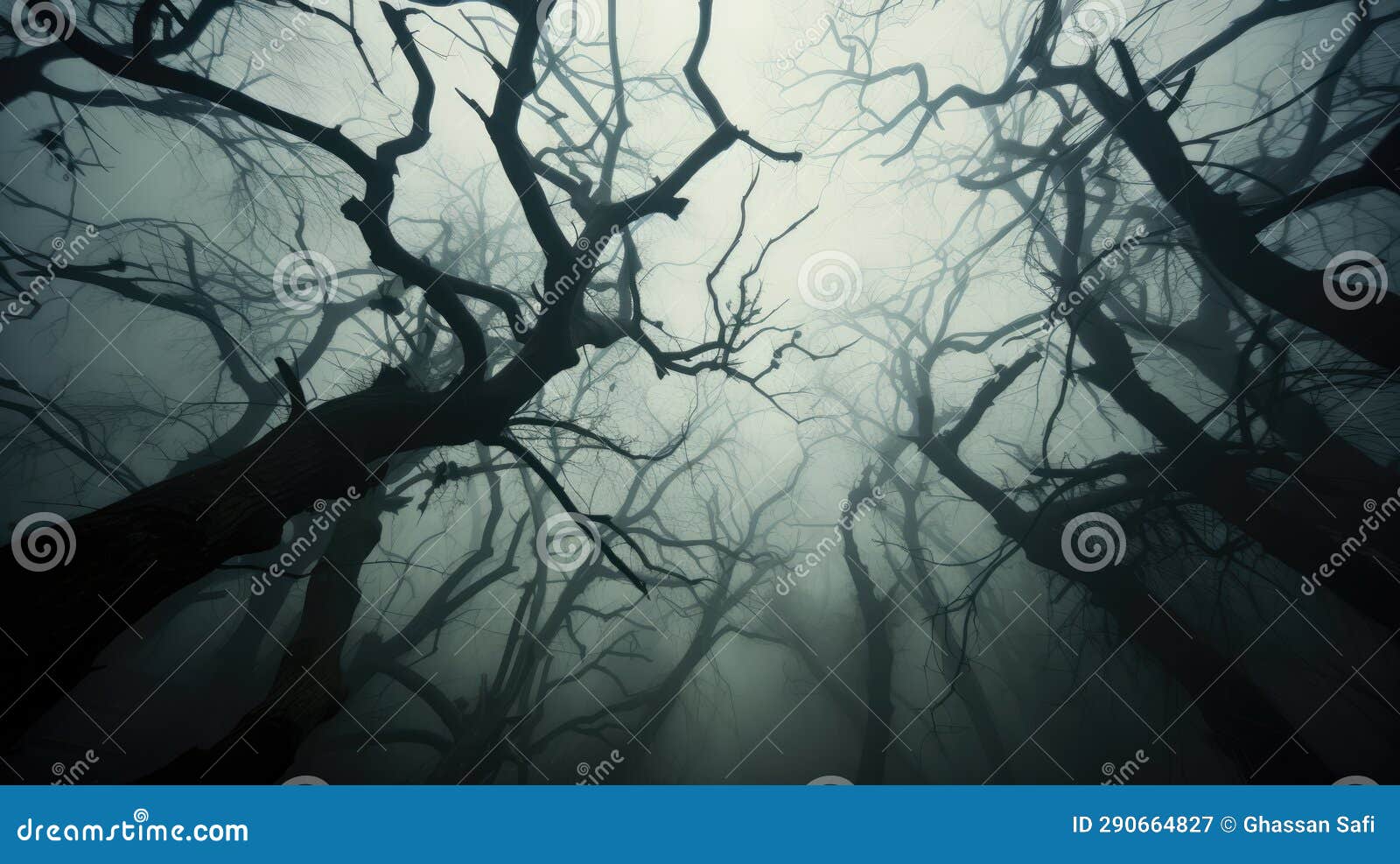 Looking Up at Scary Looking Trees at Night within a Misty Forest Stock ...