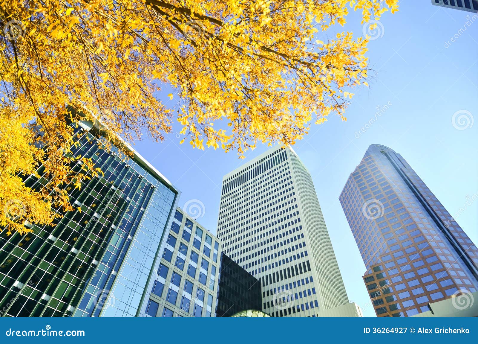 Looking Up at Tall Skyscrapers Stock Image - Image of glass, looking ...