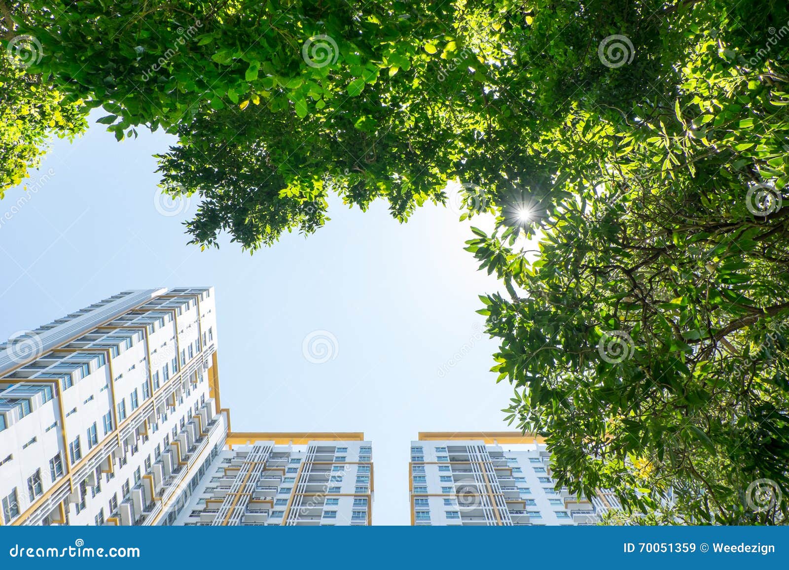 Looking Up at Tree and Building,real Estate Vision Concept Stock Image ...