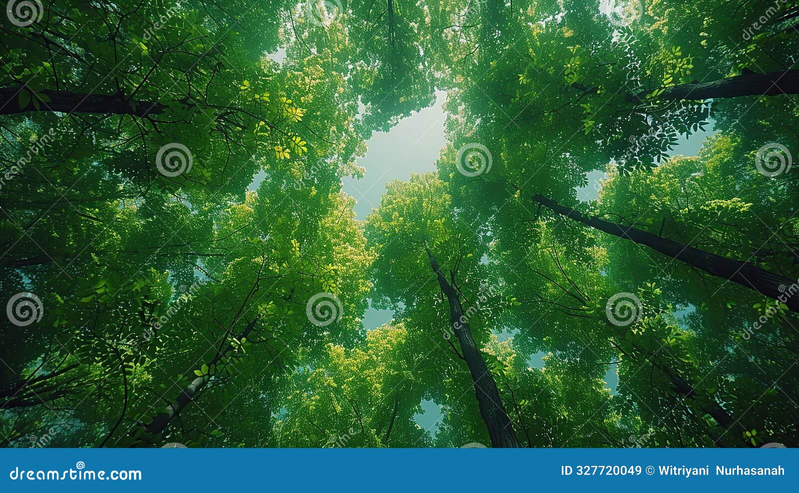Looking Up through the Trees Stock Illustration - Illustration of ...