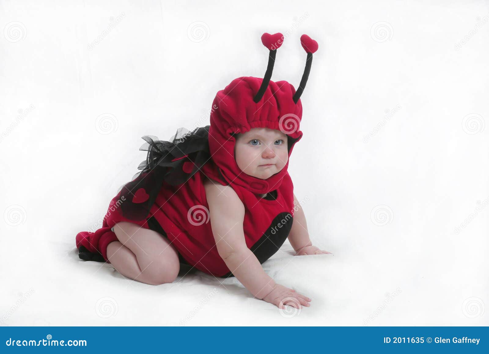 Looking very cute stock image. Image of toddler, designer - 2011635