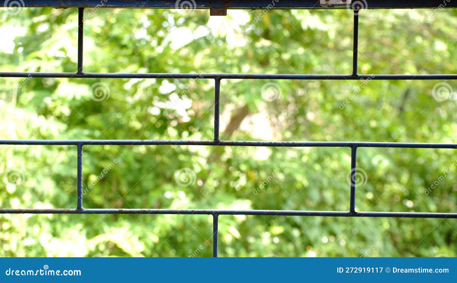 Rusty Blue Ancient Window Trellis Stock Image - Image of natural ...