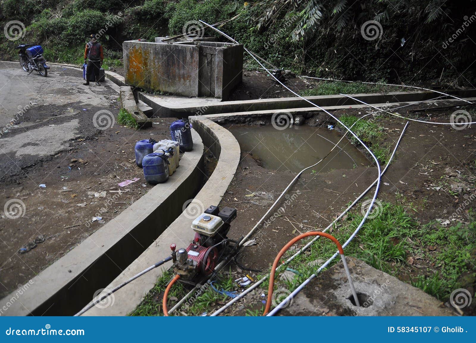 Looking for water editorial photography. Image of pests - 58345107