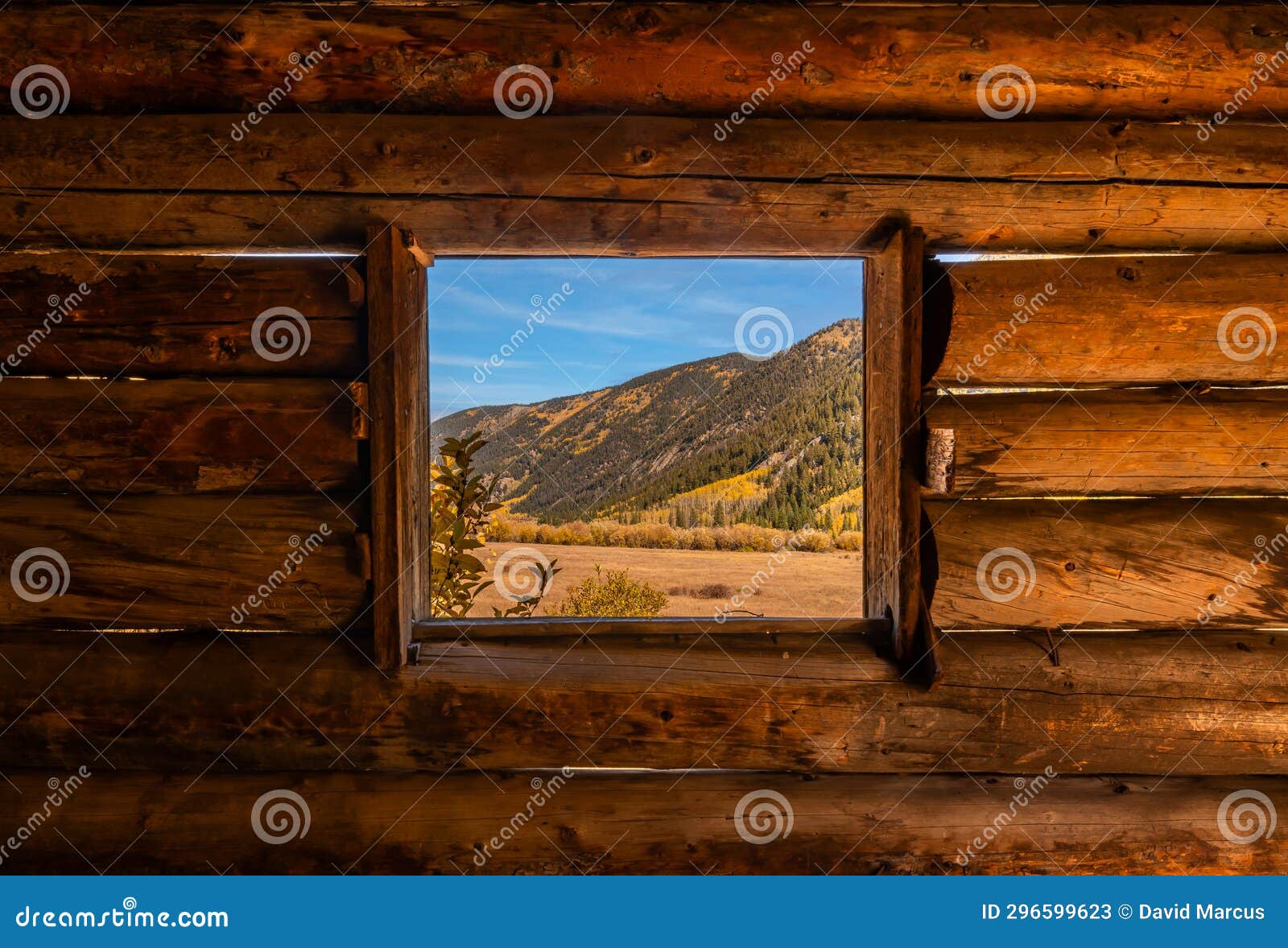 Looking through Window in Colorado Cabin with Peak Fall Colors Stock ...