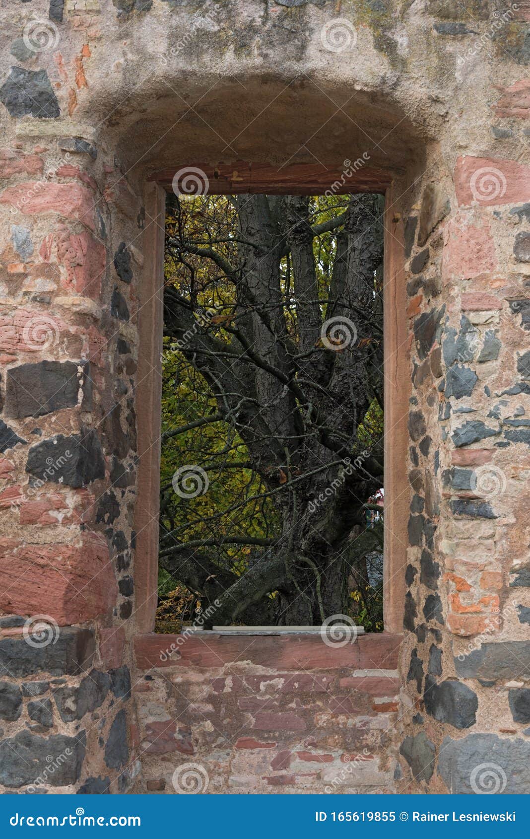 Looking through the Window of a Ruined Castle on a Tree Stock Image ...