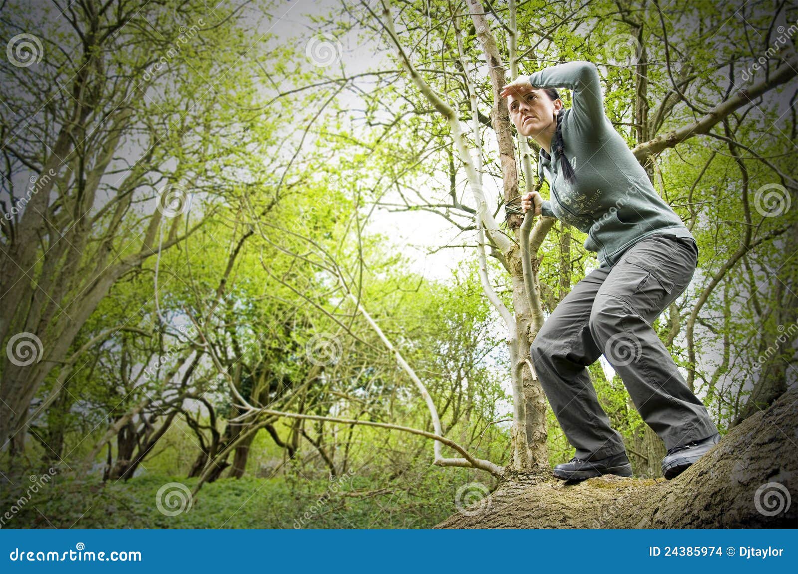 On the lookout stock photo. Image of hand, activity, landscape - 24385974