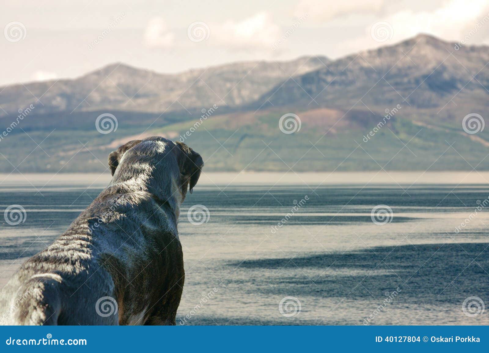Lookout stock photo. Image of landcsape, standing, nature - 40127804