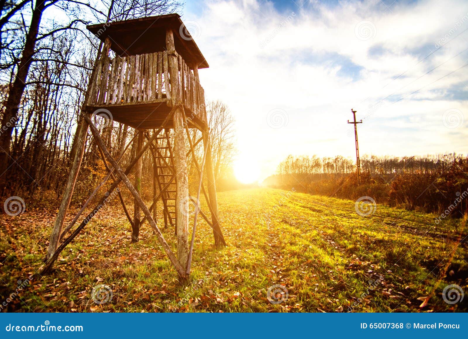 Lookout Tower for Hunting at Dawn Stock Photo - Image of hunt, nmorning ...