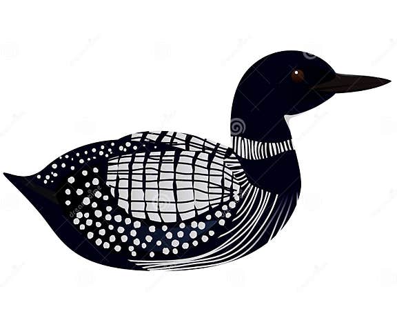 Loon bird stock vector. Illustration of loon, wing, duck - 89544794