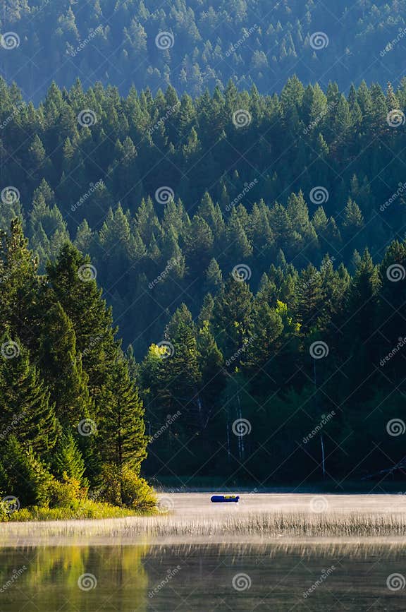Loon Lake BC stock photo. Image of peak, pine, mountain - 22015514