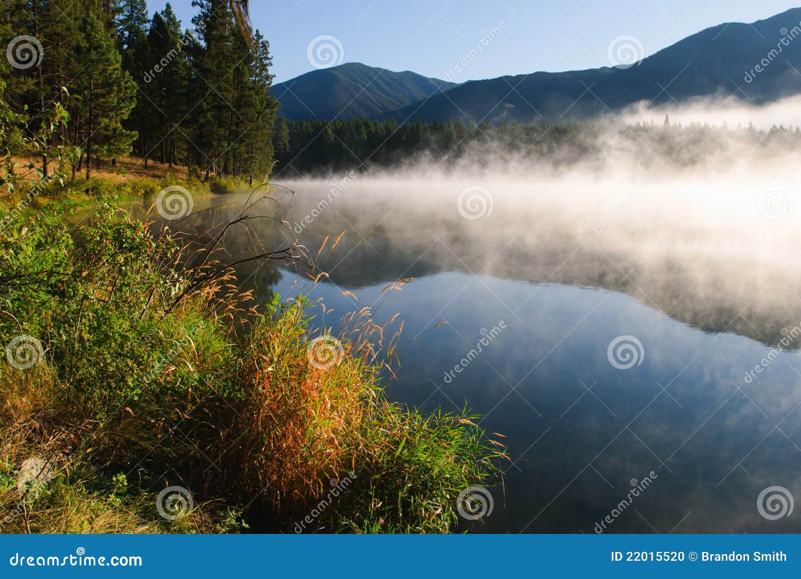 Loon Lake BC stock photo. Image of fresh, tree, rocky - 22015520