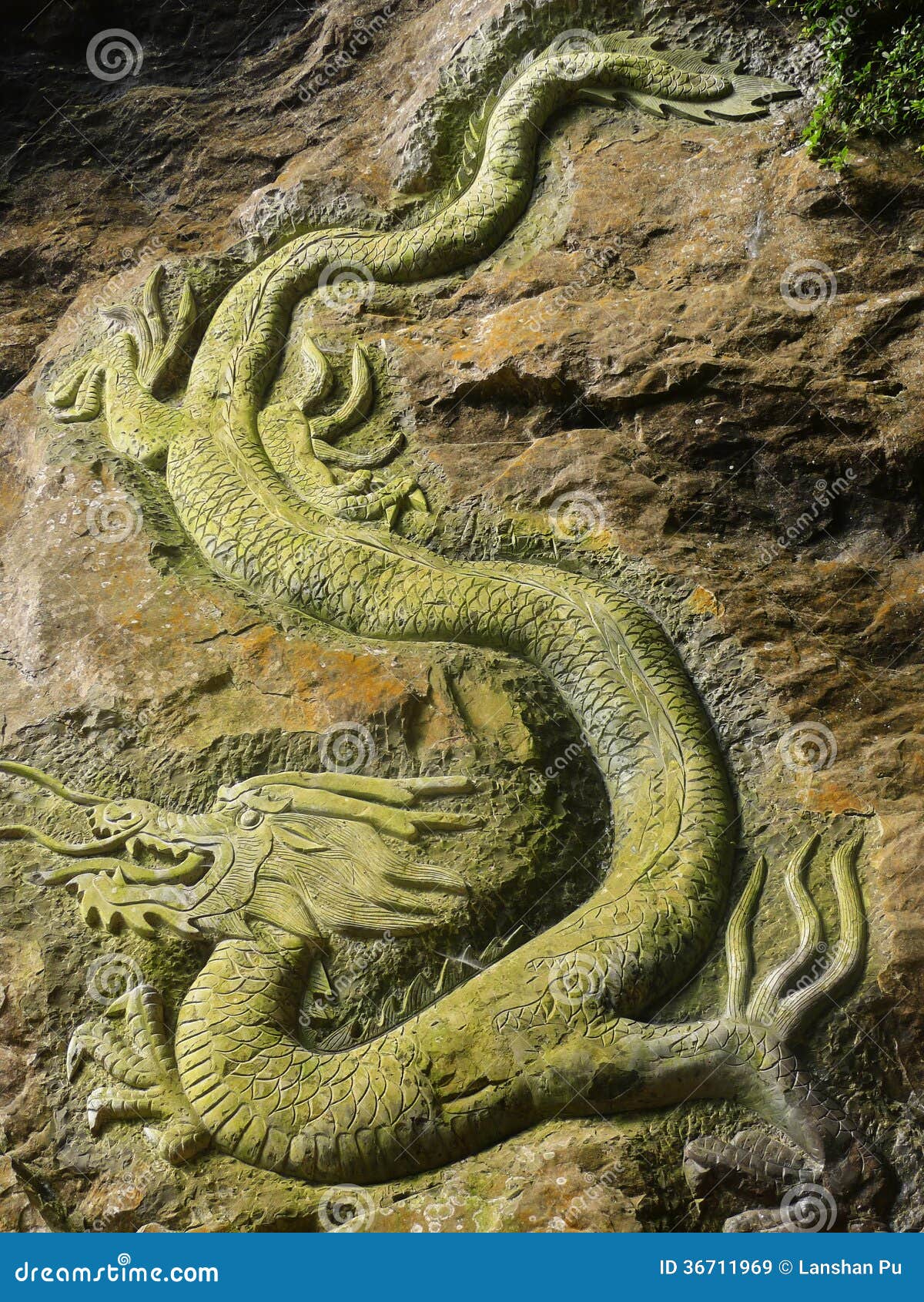 Loong image stock. Image du chinois, culture, traditionnel - 36711969