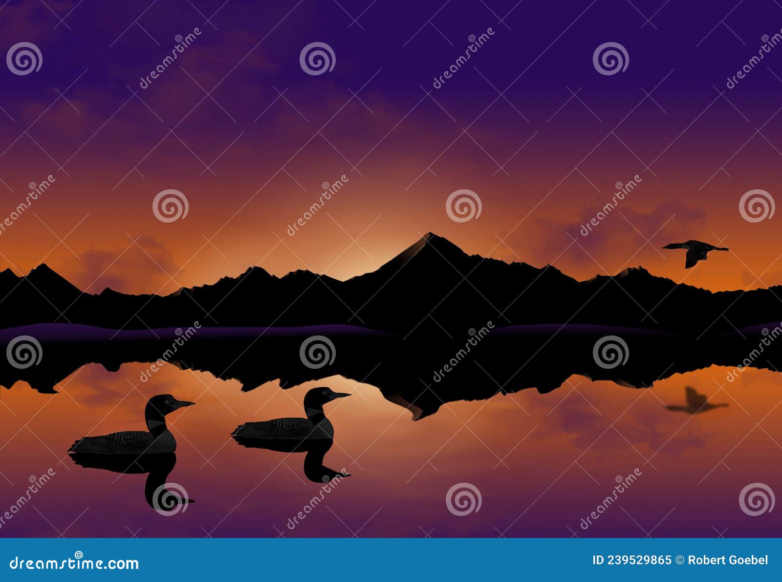 Loons Float in a Mountain Lake at Sunset Stock Illustration ...