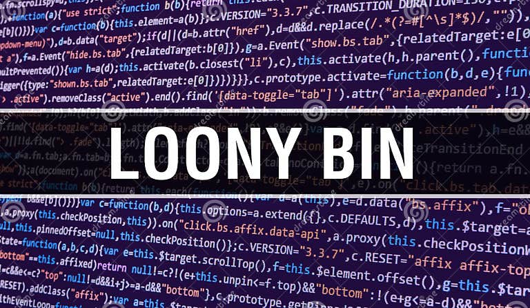 Loony Bin Concept with Random Parts of Program Code. Loony Bin with ...