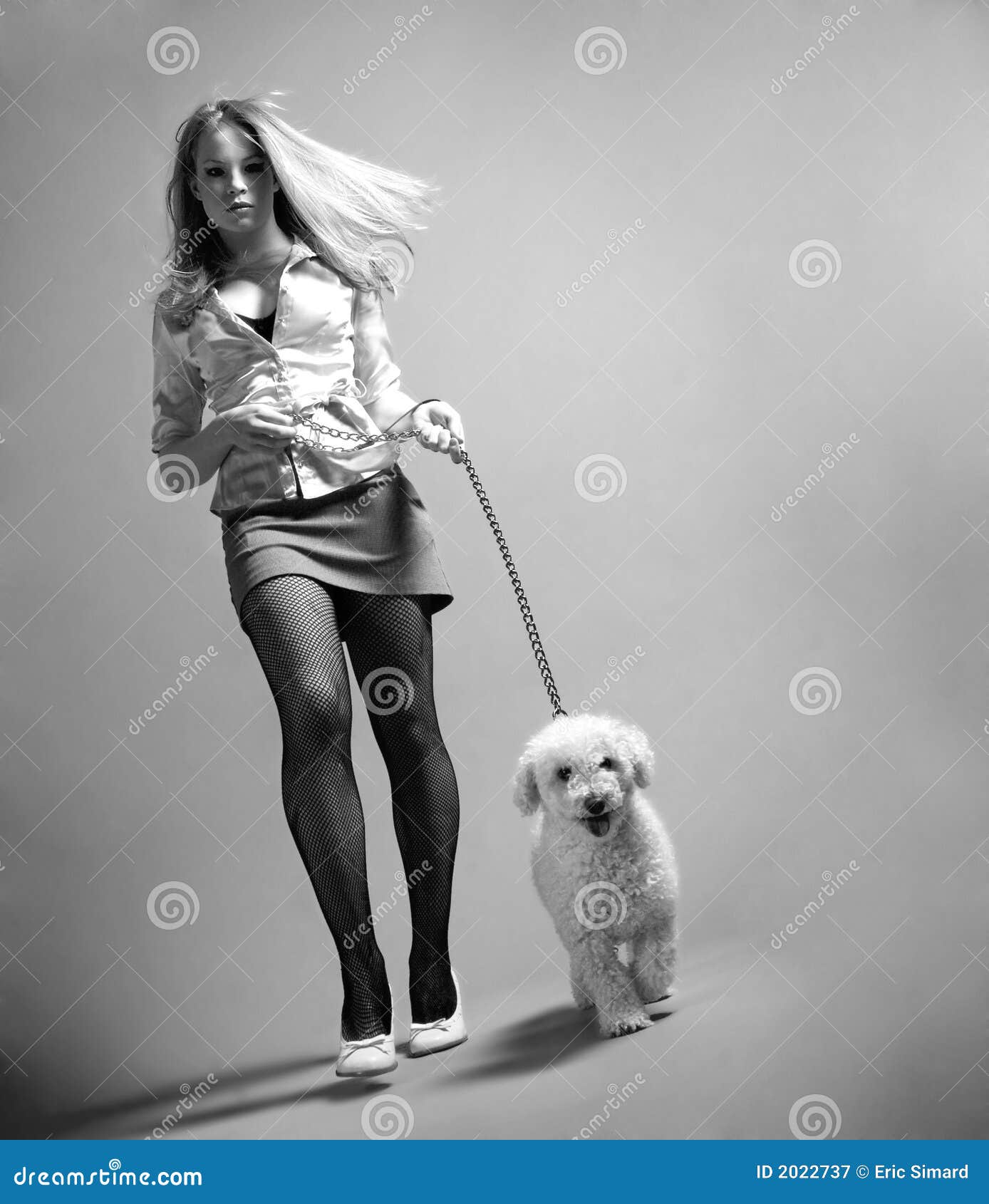 Loop de hond stock afbeelding. Image of ontwerper, modieus - 2022737