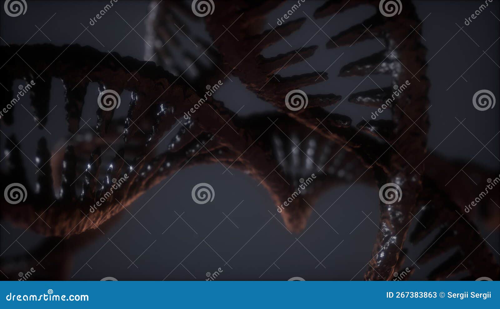 Loop Double Helical Structure of Dna Strand Close-up Animation Stock ...