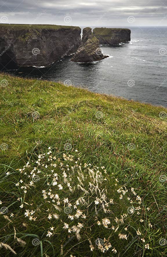 Loop Head Drive stock image. Image of nature, eire, green - 16728183