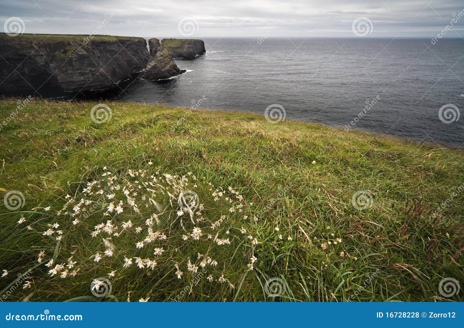 Loop Head Drive stock photo. Image of tourism, amazing - 16728228