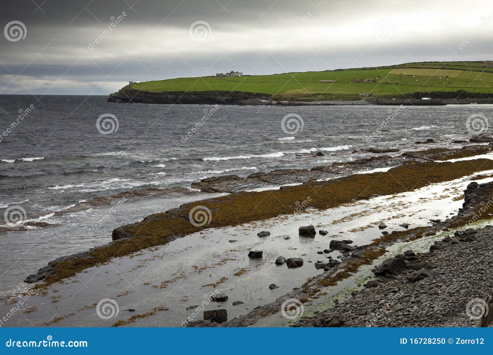 Loop Head Drive stock photo. Image of nature, green, beach - 16728250