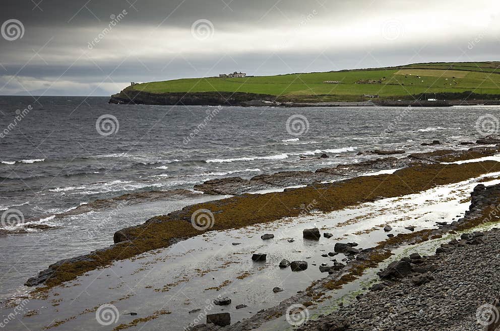 Loop Head Drive stock photo. Image of nature, green, beach - 16728250
