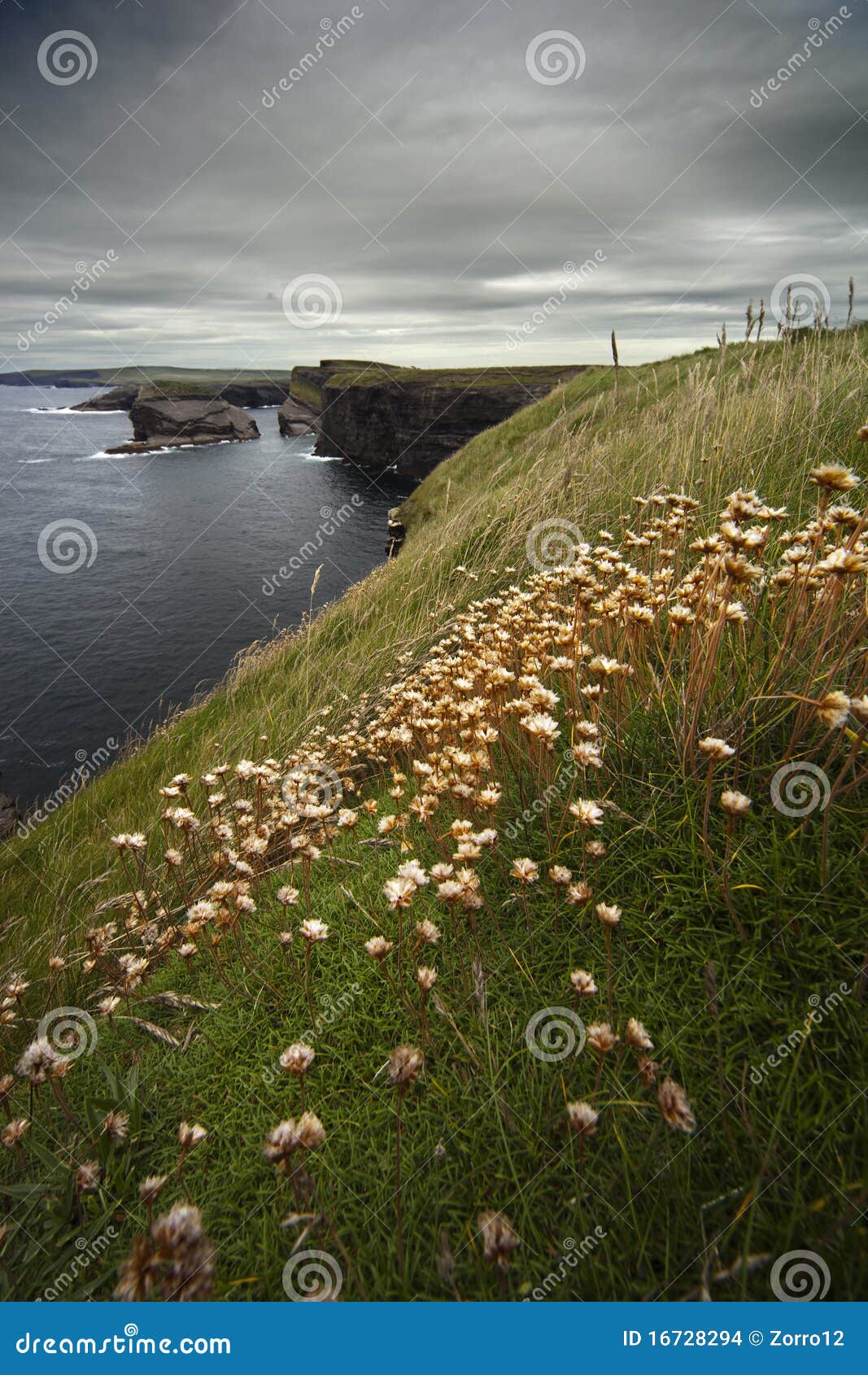 Loop Head Drive stock photo. Image of famous, look, eire - 16728294