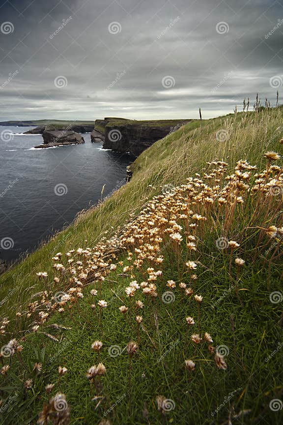 Loop Head Drive stock photo. Image of famous, look, eire - 16728294