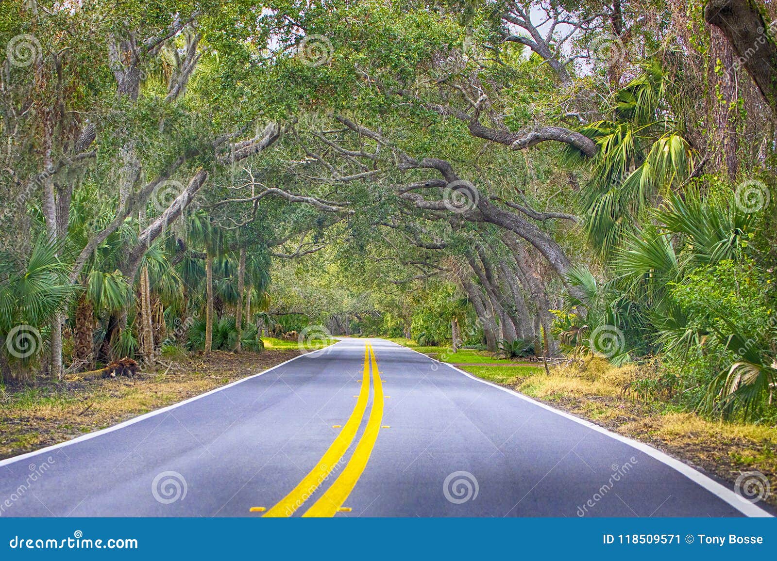 The Loop, Ormond Beach, Florida Stock Image - Image of public, tomoka ...