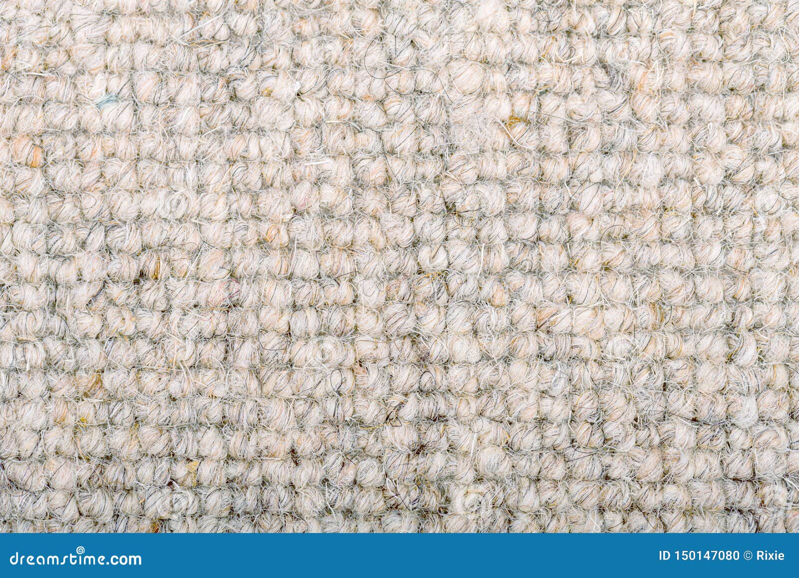 Loop Pile Wool Carpet in Cream Stock Photo - Image of close, clean ...