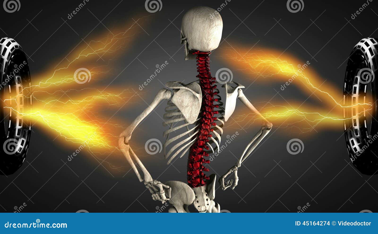 Rotate Skeleton Stock Footage & Videos - 193 Stock Videos