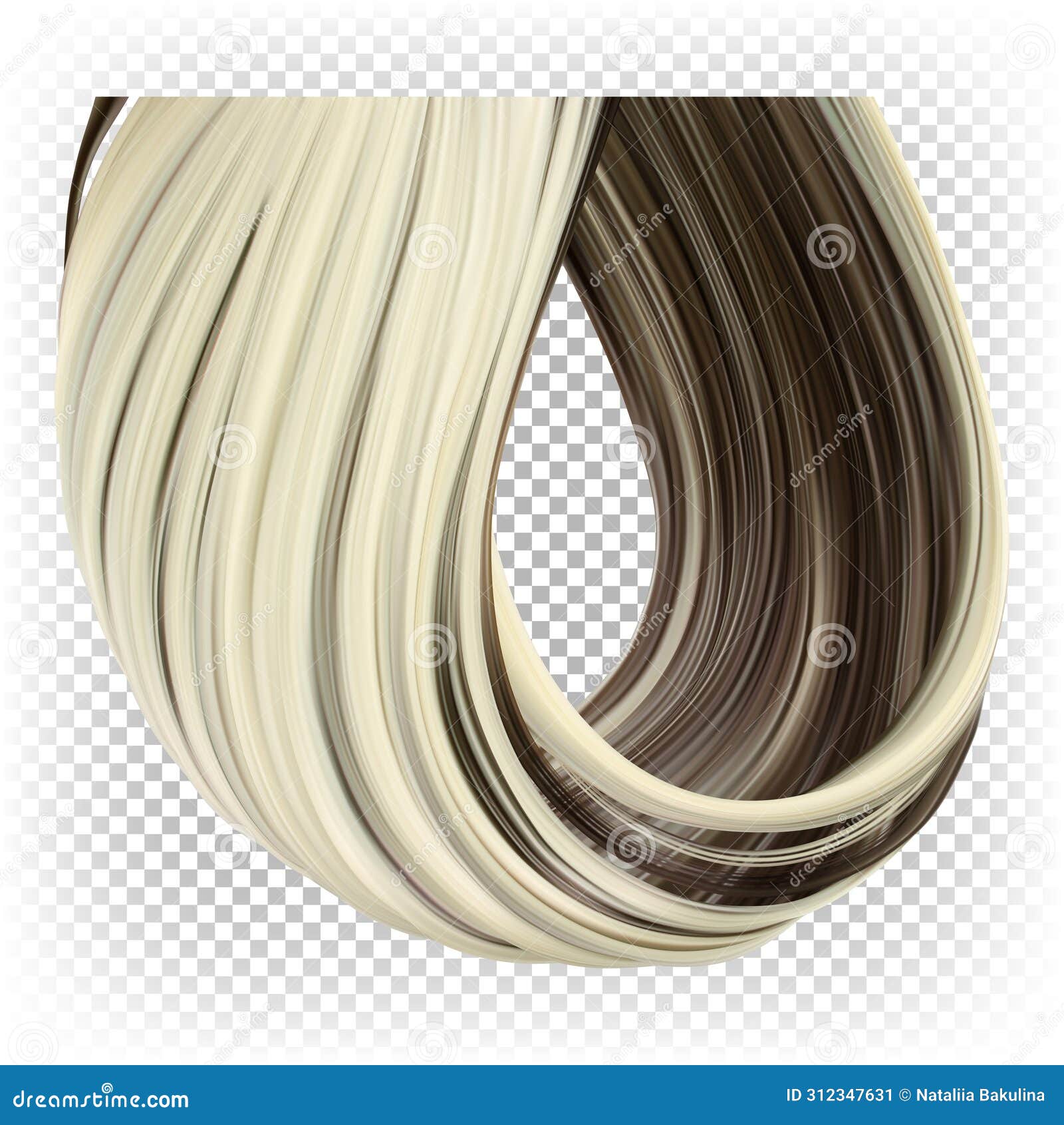 A Loop of Straight Hair Dyed in Dark and Light Colors. Staining Sample ...